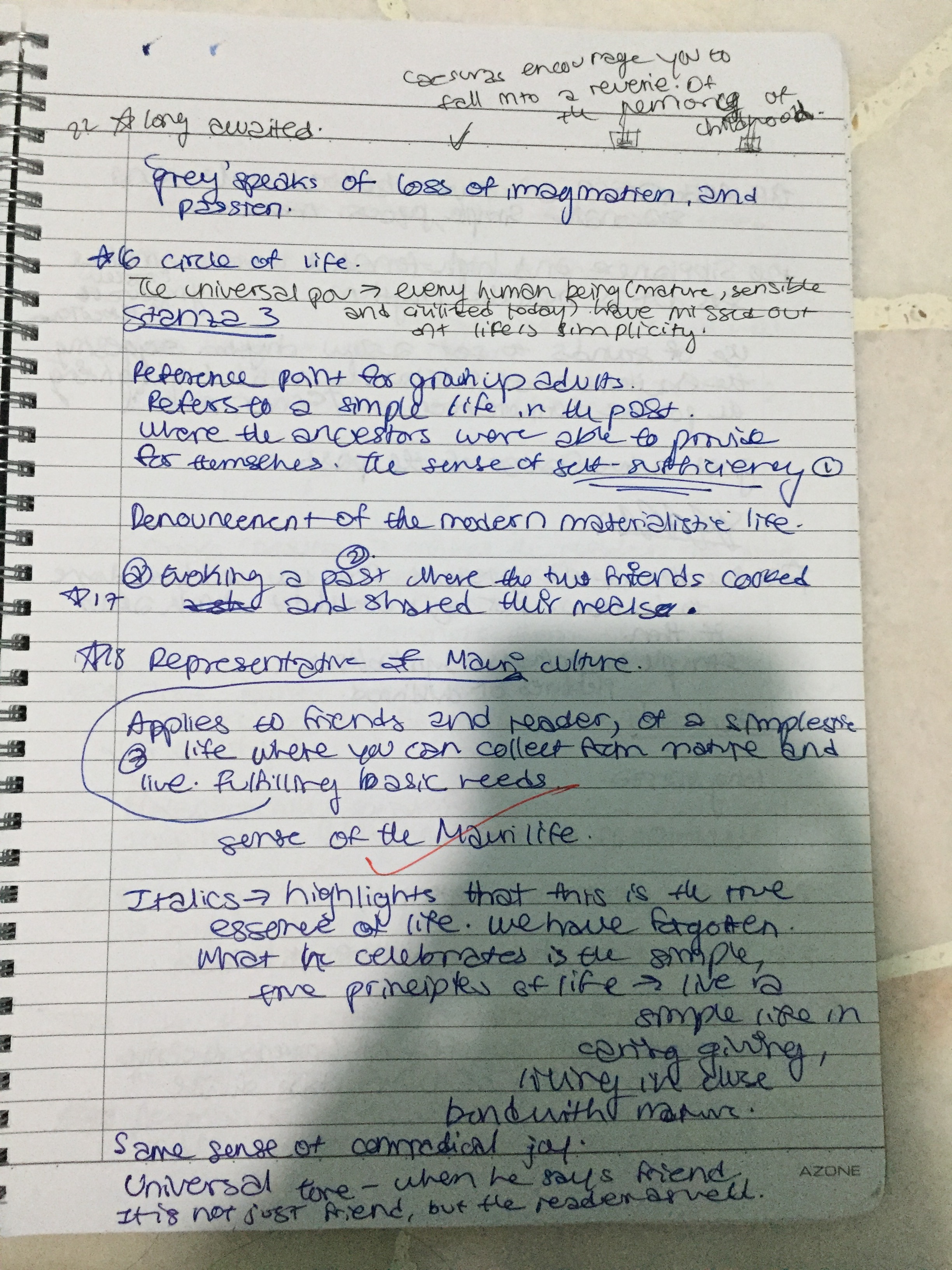 Friends by Hone Tuwhare In Depth Analysis – prepIGCSE