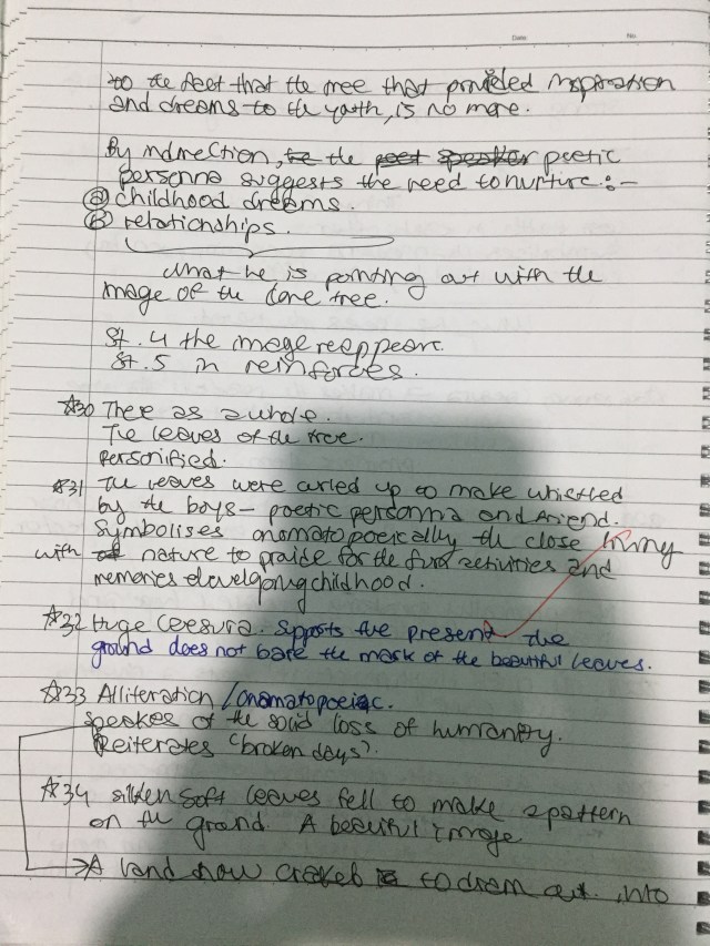 Friends by Hone Tuwhare In Depth Analysis – prepIGCSE
